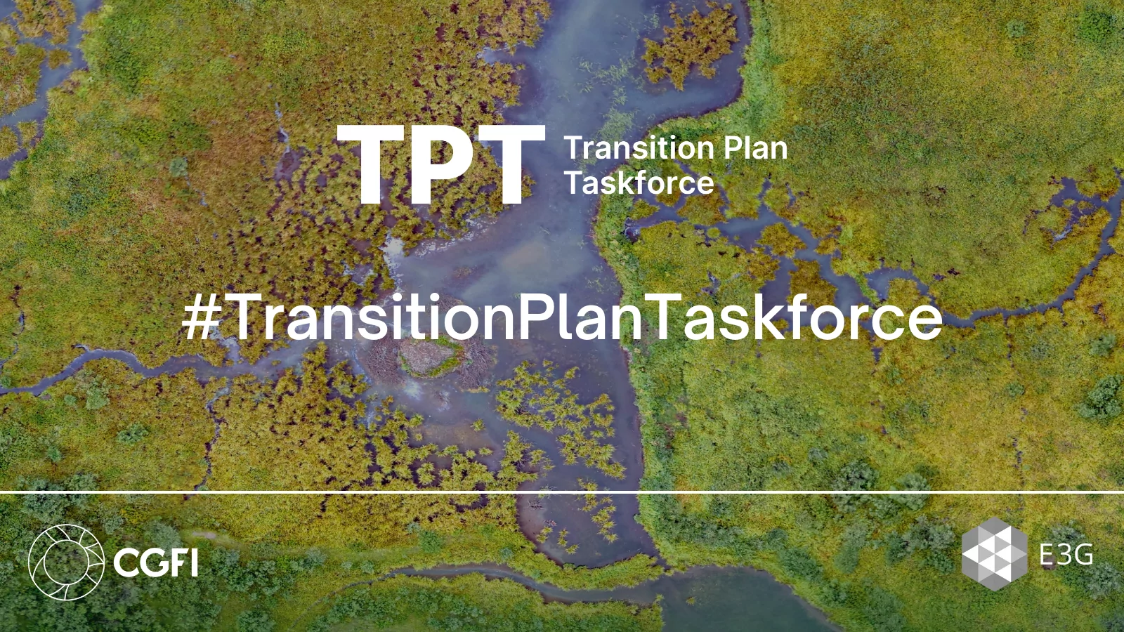 Transition Plan Taskforce announce the disclosure framework · Verdant